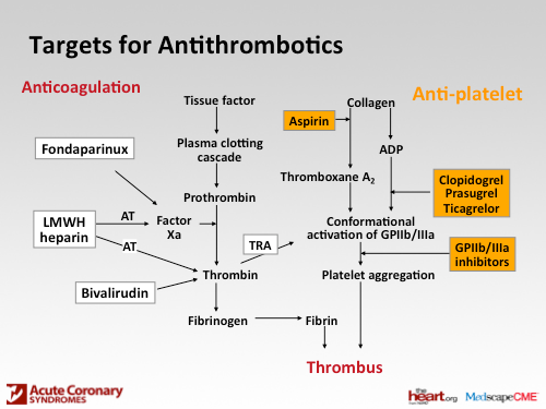 Triple Antiplatelet Therapy Rationale And Role In Acs Transcript