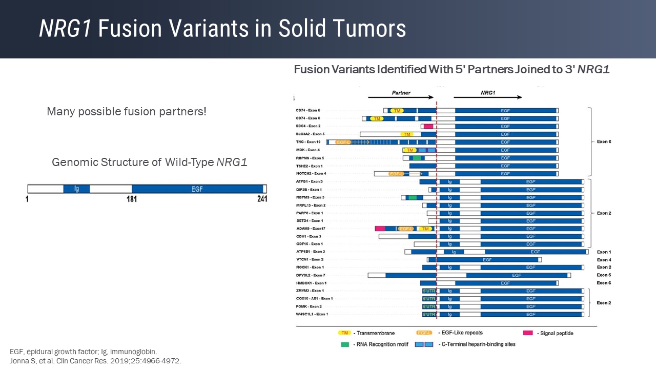 NRG1 Gene Fusion: Unlocking New Pathways of Treatment