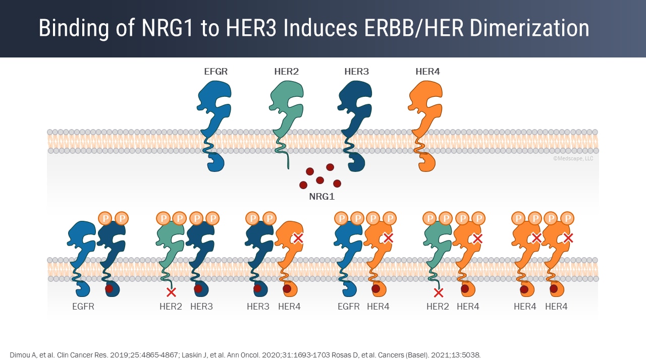 NRG1 Gene Fusion: Unlocking New Pathways of Treatment