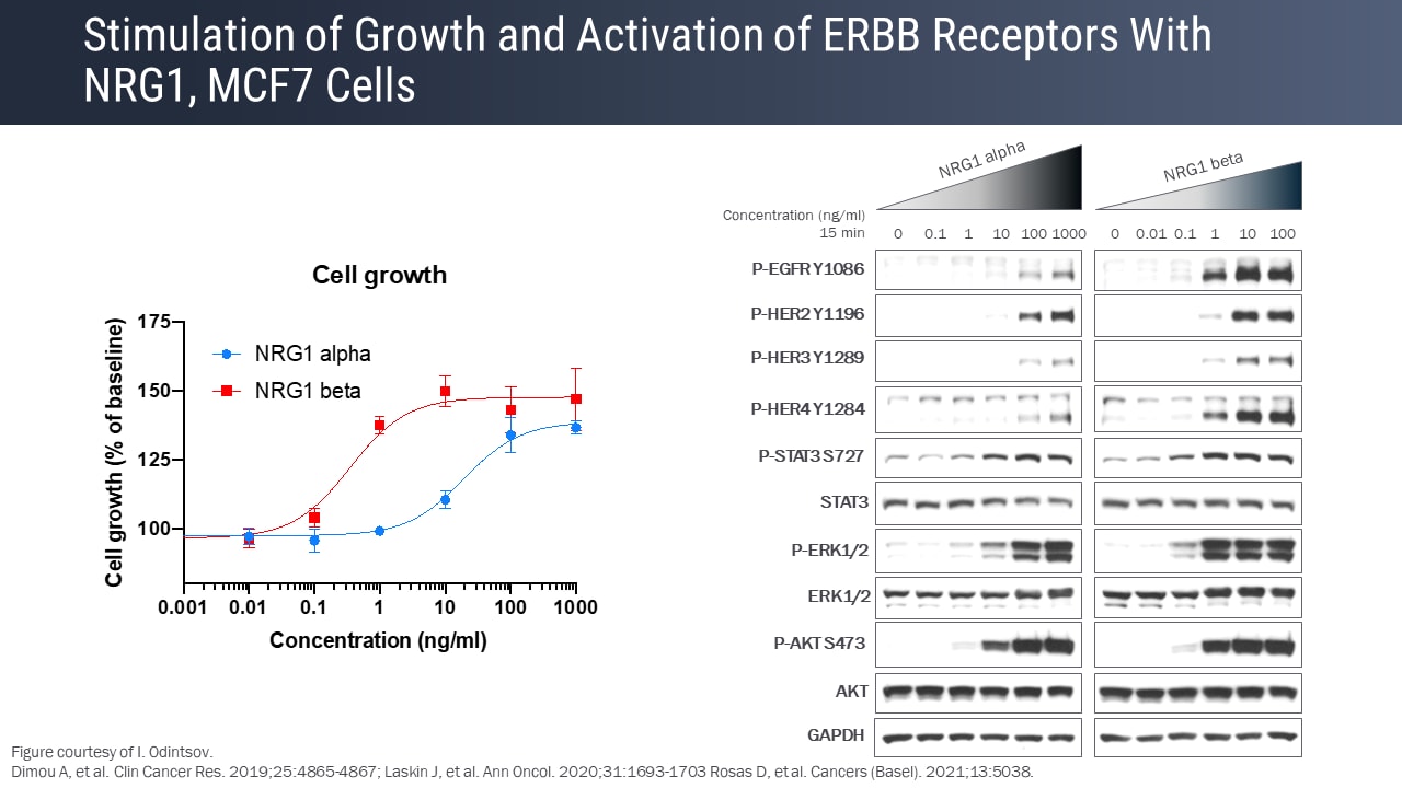 NRG1 Gene Fusion: Unlocking New Pathways of Treatment