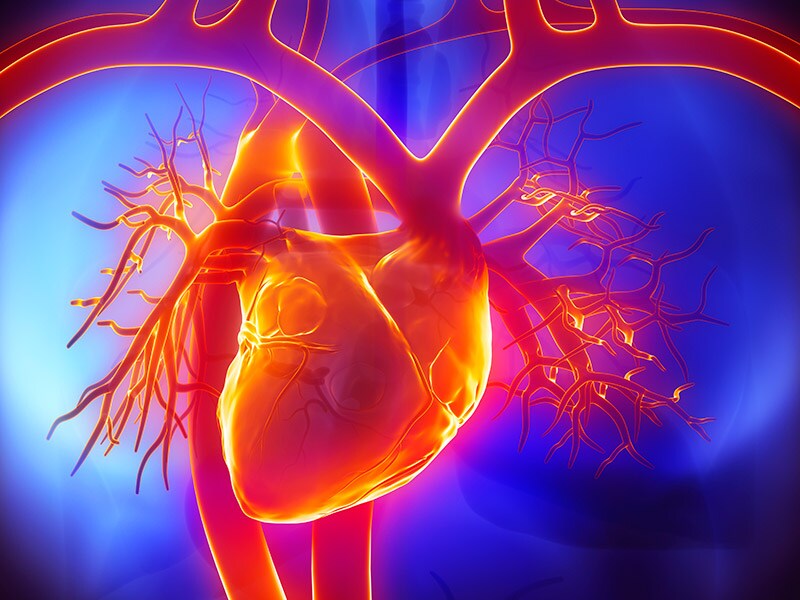 What Do You Know About Pulmonary Artery Pressure PAP As A Diagnostic In HF